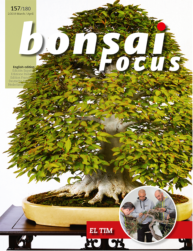 Bonsai Focus 2019-2 – Bonsai Today
