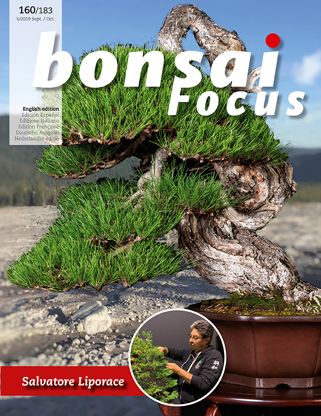 Bonsai Focus 2019-5 – Bonsai Today