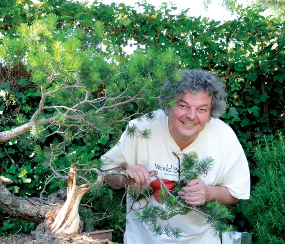 Are they mother and daughter? – Bonsai Today