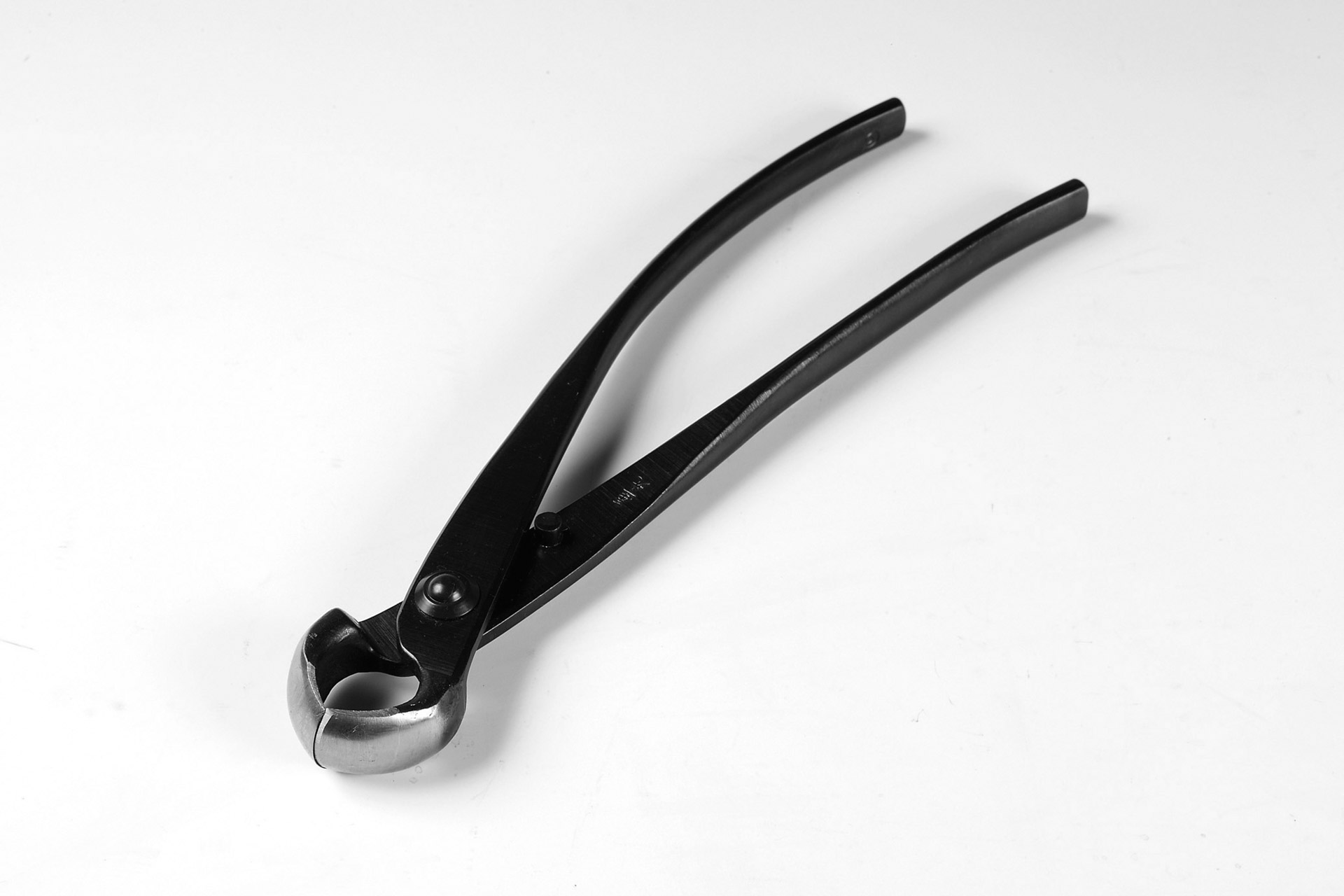 Shiny blades II – Bonsai Today