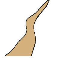 The trunk – Bonsai Today