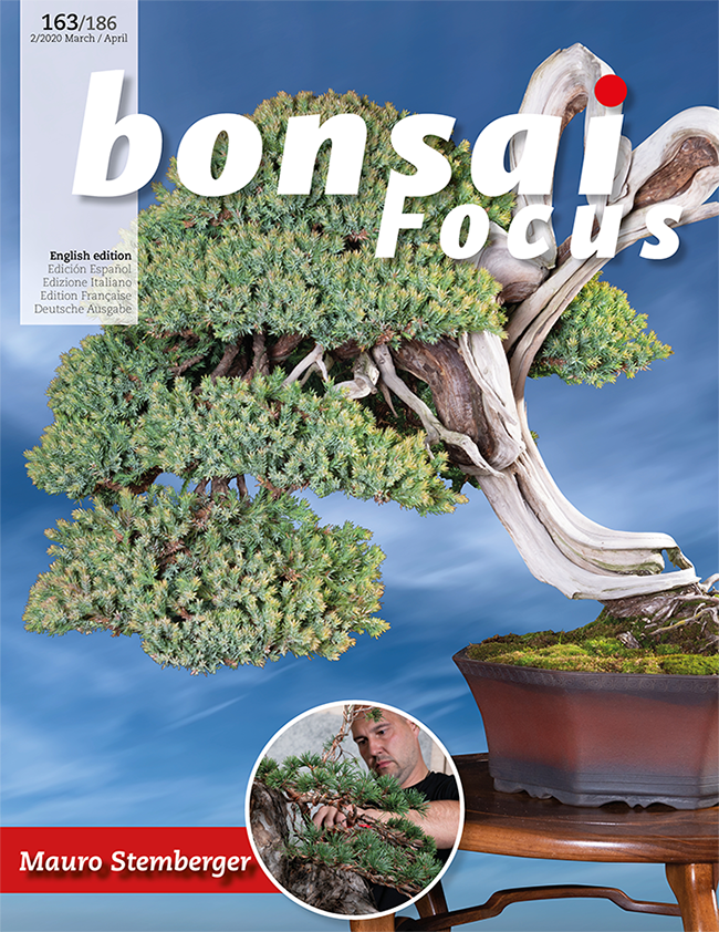 Bonsai Focus 2020-2 – Bonsai Today