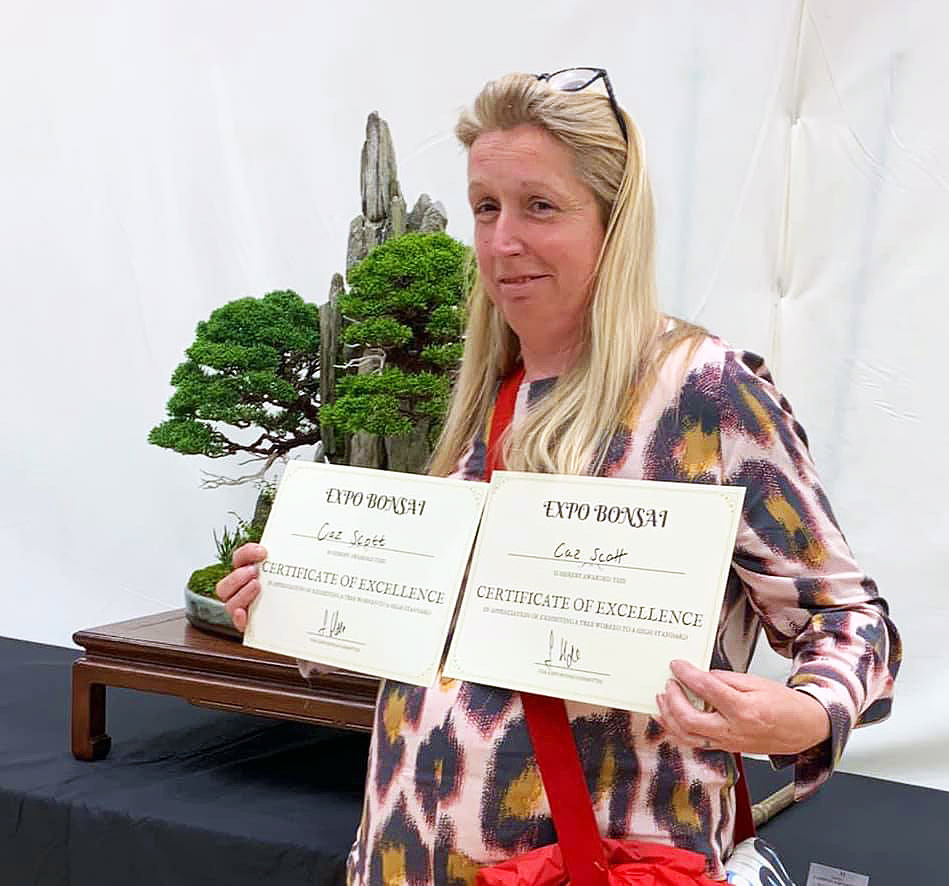 Here and now – Bonsai Today