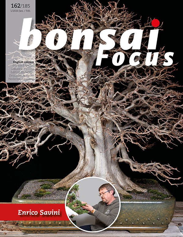 Bonsai Focus 2020-1 – Bonsai Today