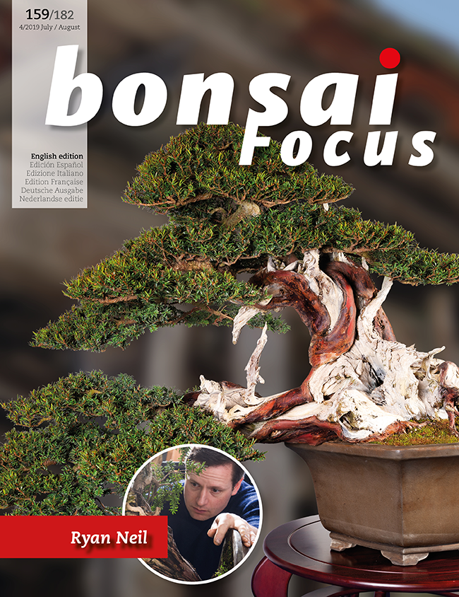 Bonsai Focus 2019-4 – Bonsai Today
