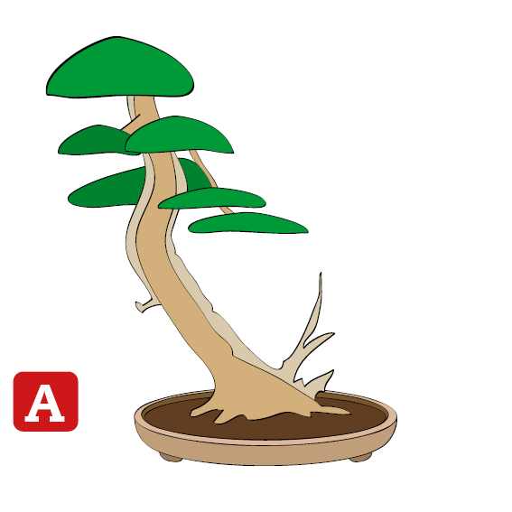 The balance – Bonsai Today