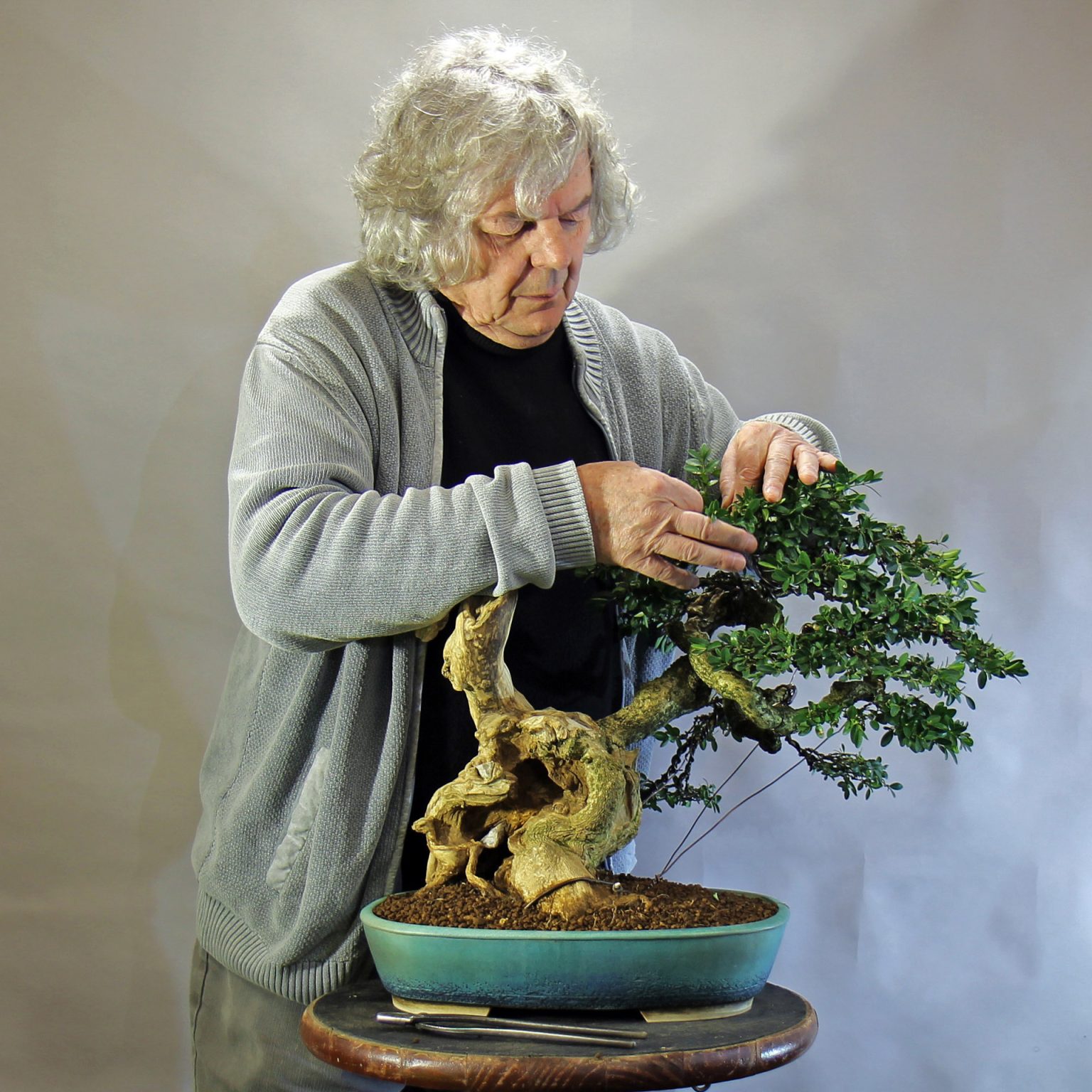 A perfect love – Bonsai Today