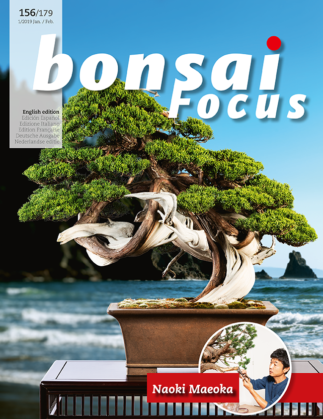 Bonsai Focus 2019-1 – Bonsai Today