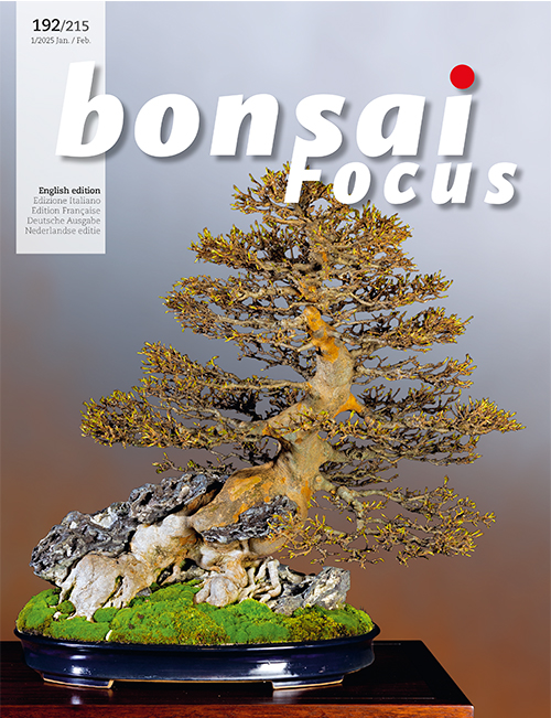 Bonsai Focus 2025-1 – Bonsai Today