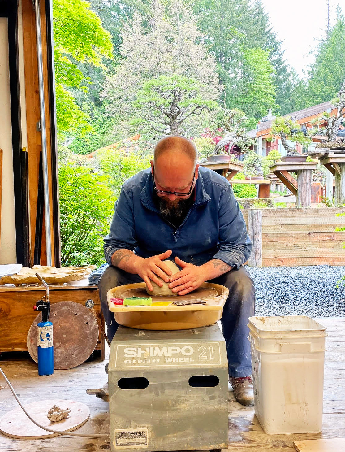 The Stone monkey – Bonsai Today