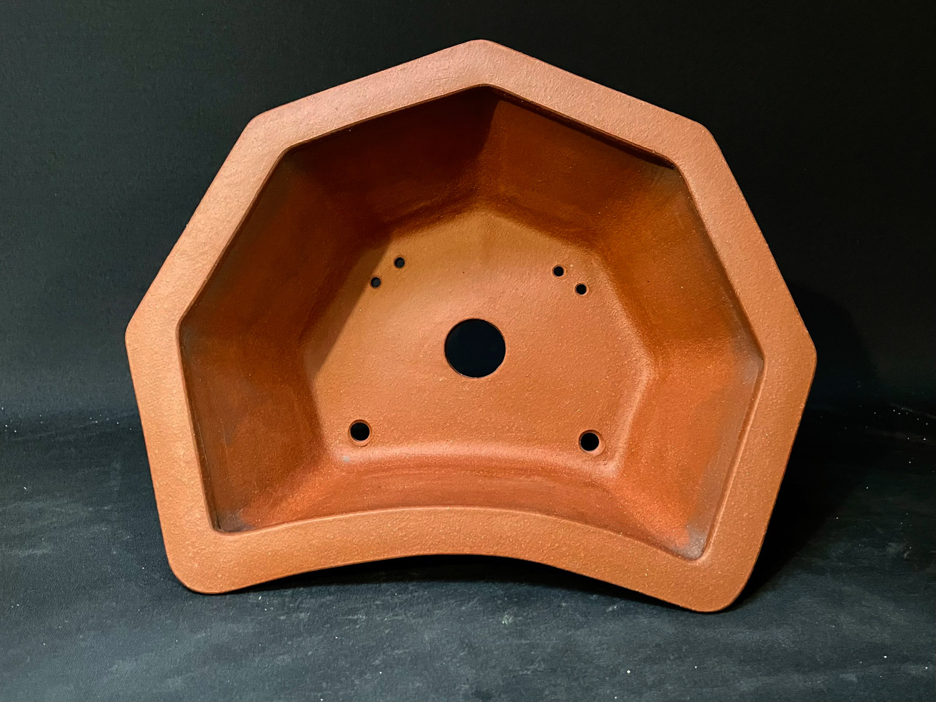 The Stone monkey – Bonsai Today