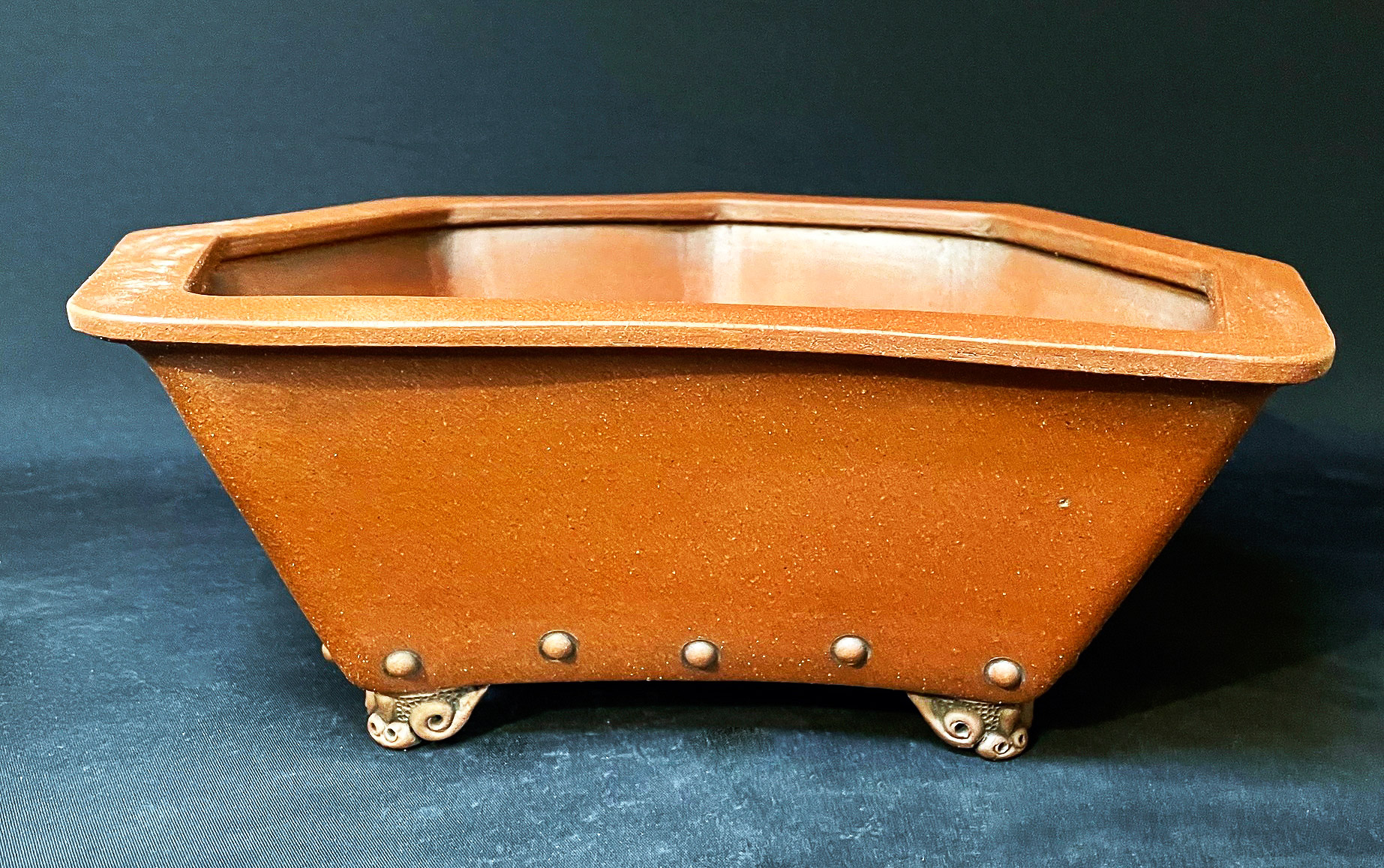 The Stone monkey – Bonsai Today