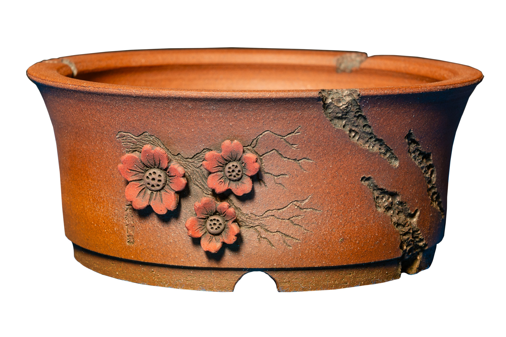 East and West – Bonsai Today