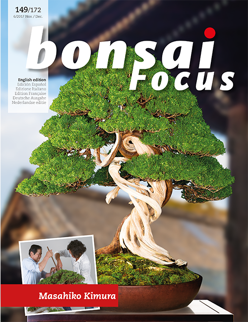 Bonsai Focus 2017-6 – Bonsai Today
