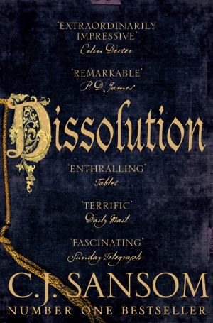 Dissolution Summary - BookBrief