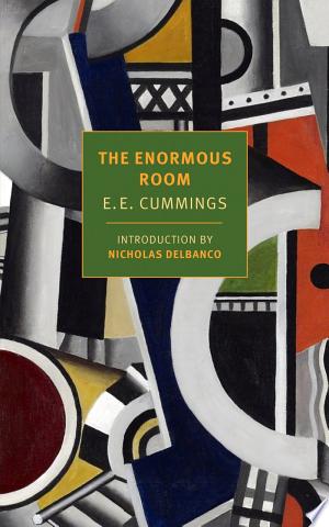 The Enormous Room - BookBrief