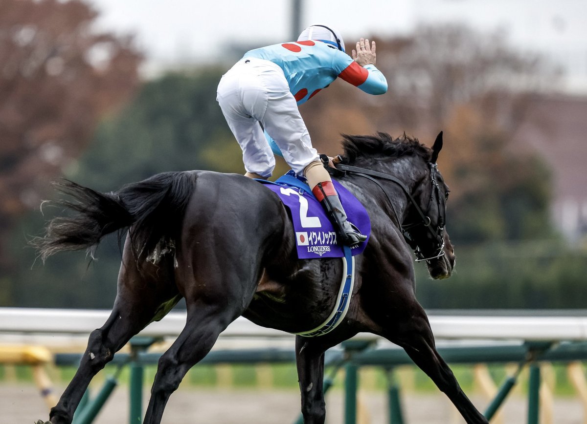 阪神5R 2歳新馬 芝2000m | BOOKERS(ブッカーズ)