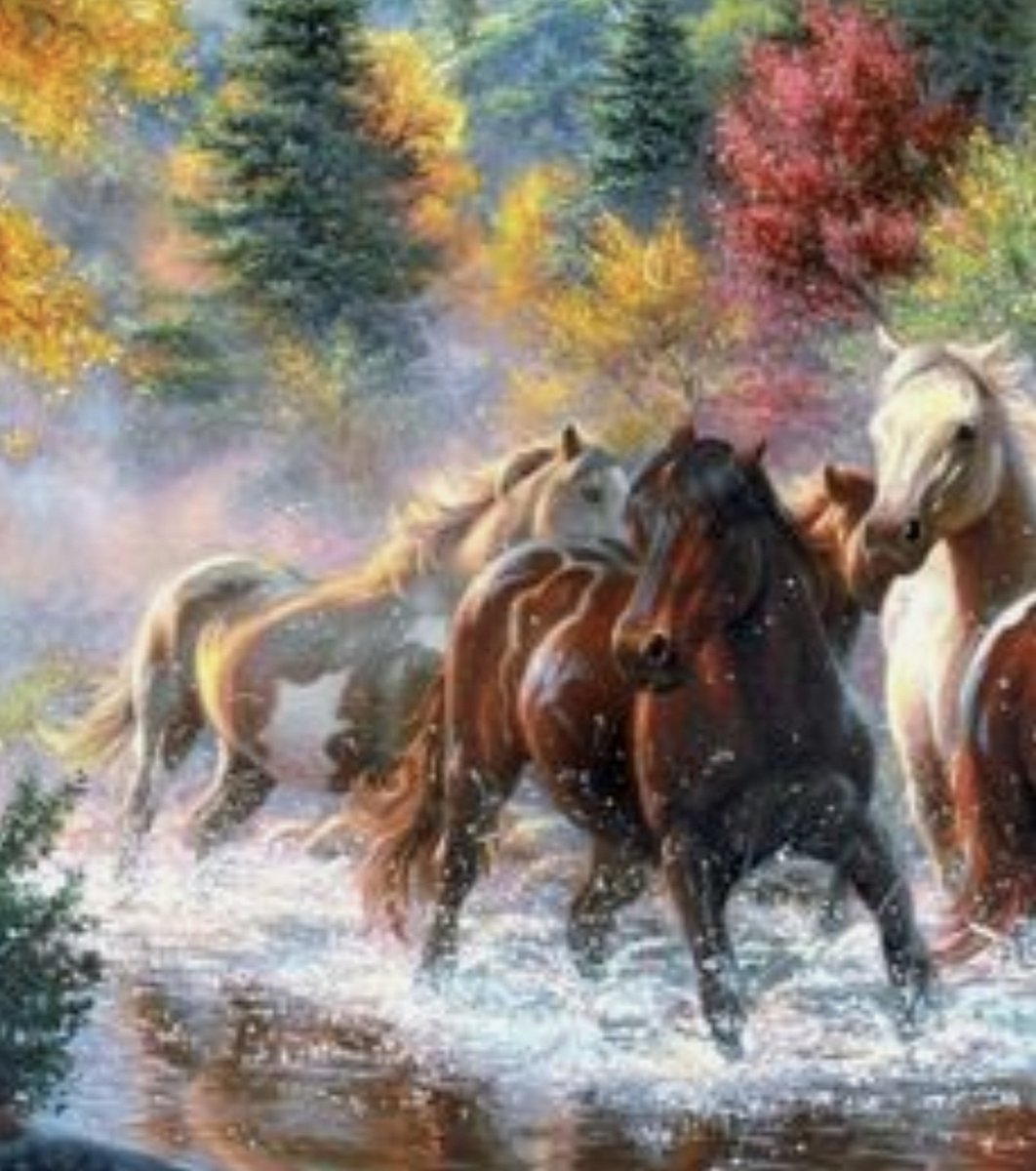 9/11 【中山競馬予想 競馬柱流AI】 【後編】7.8.9.10.11.12 | BOOKERS(ブッカーズ)