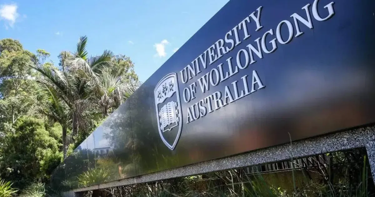 Why Researching Your Course Matters: A UOW Student Perspective | Borderless