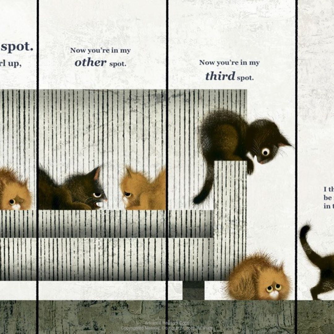 Cat Problems By Jory John | Book Review