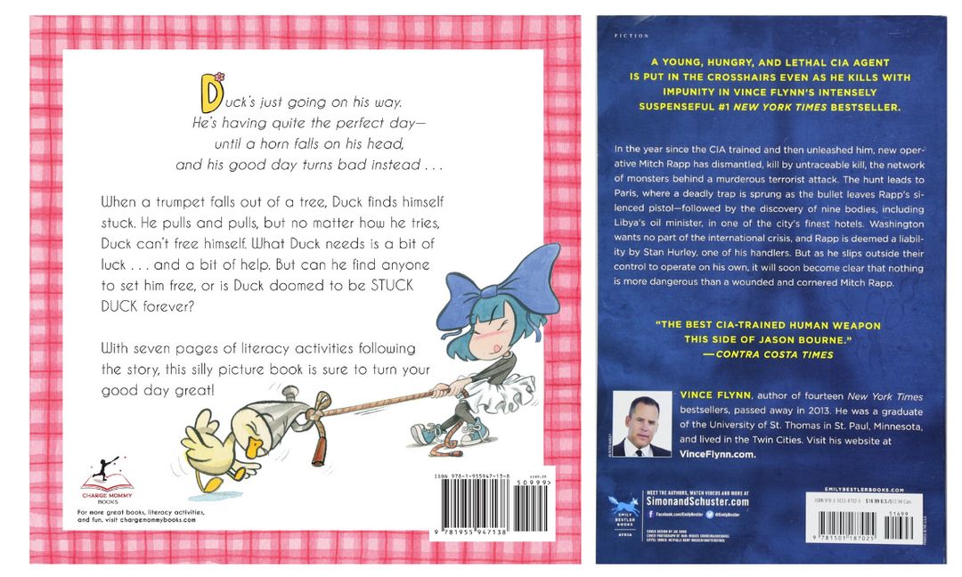 Long Rhyming Words Book Summary Review JanineSonnie