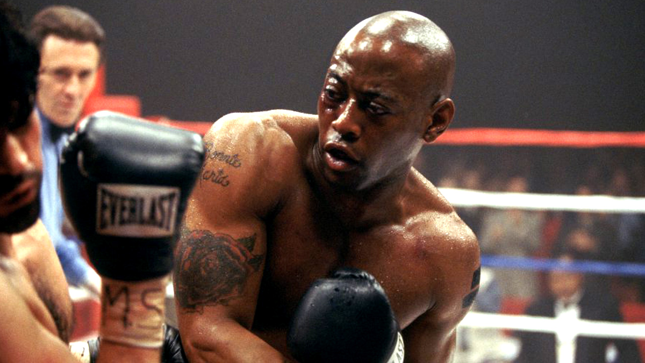 Bounce - Against The Ropes