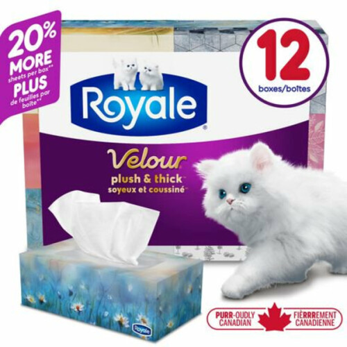 Royale 3 Ply Facial Tissue 3 Count - Walmart, Vancouver Grocery ...