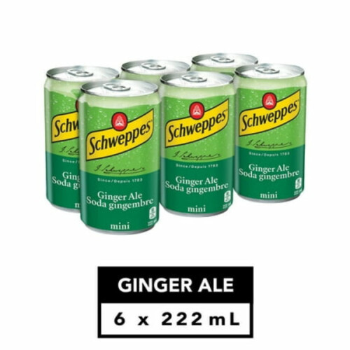 Schweppes Ginger Ale, Mini Cans, 6 x 222 ml - Walmart, Ottawa Livraison ...