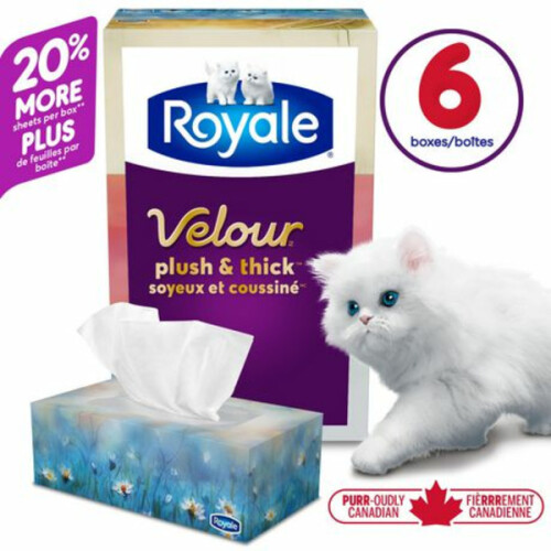 Royale 3-Ply Ultra Facial Tissue 528 Count - Walmart, Toronto/GTA ...