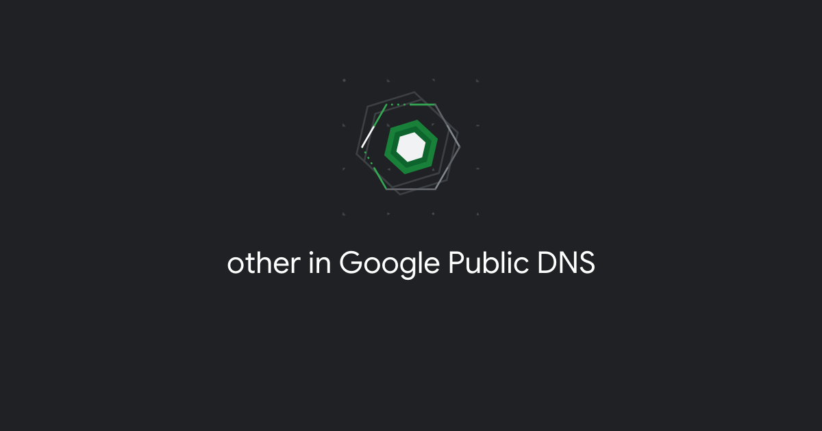 other in Google Public DNS | Google Bug Hunters