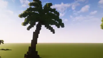 palm tree big - Buildpaste.net