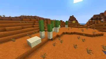 Cactus Parkour - Buildpaste.net