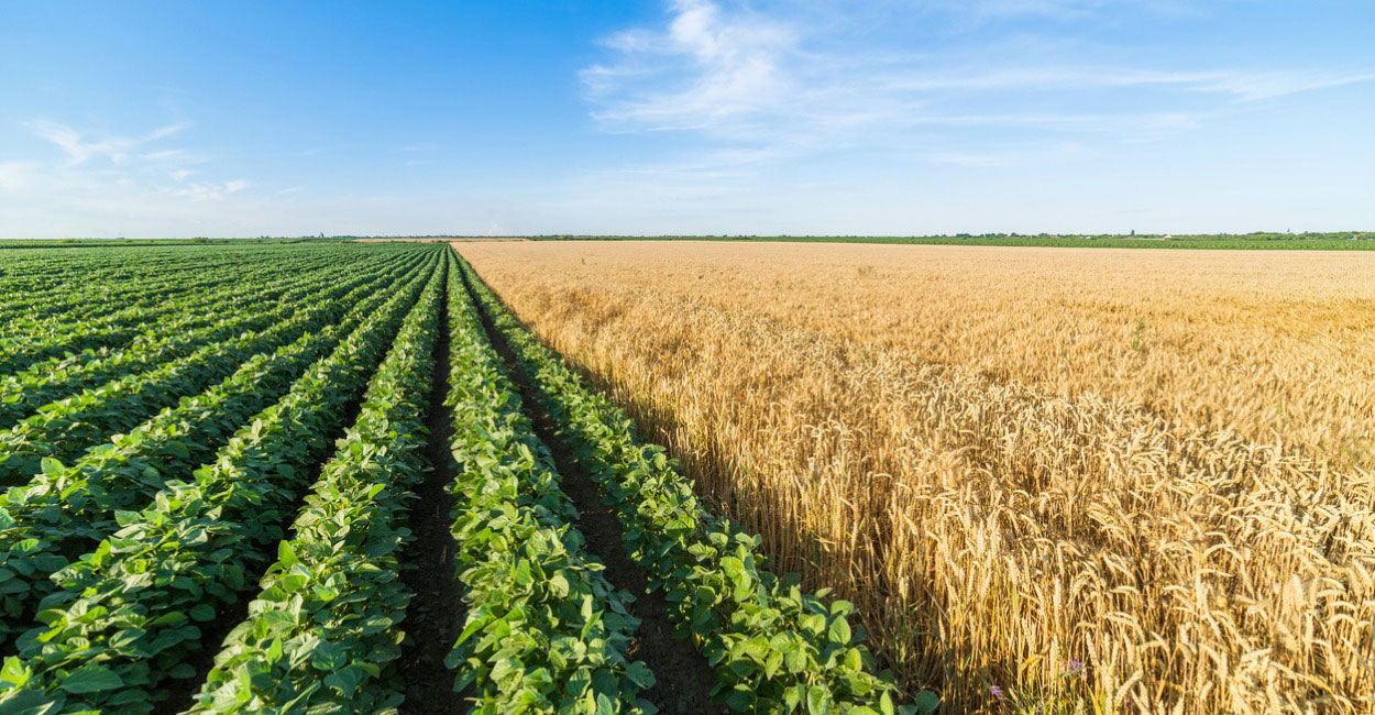 5 të rinj shqiptarë që i janë përkushtuar fermës