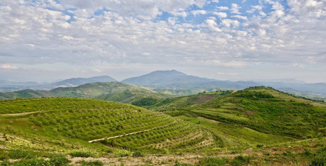 Planeti i rrushit: Si vera e kuqe do të ndihmojë astronautët në misione