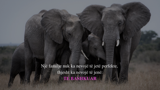 Familja ka një rol kyç drejt prosperitetit