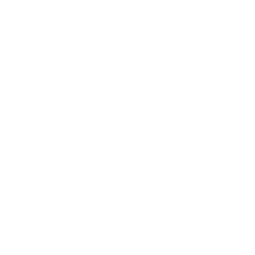 Wireless Security - Berkeley Varitronics Systems