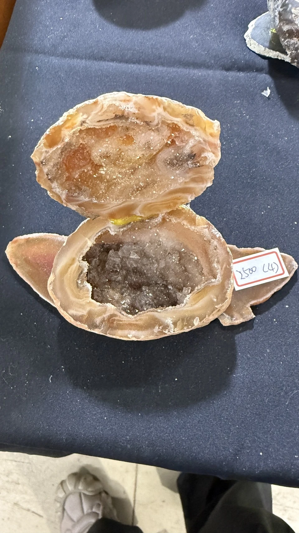 【寶石商人NPC】瑪瑙聚寶盆2500 | 東物園DONZOO