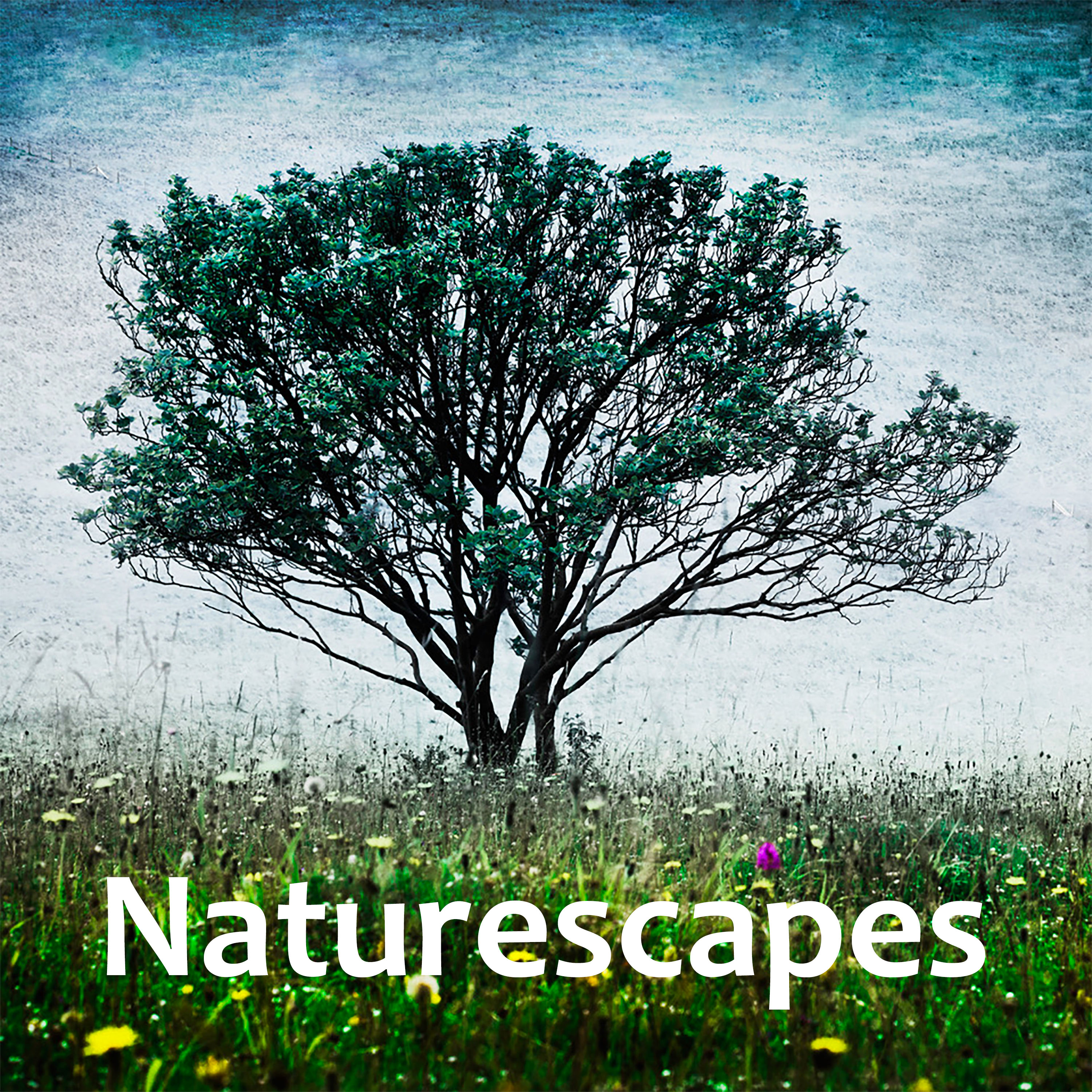 Naturescapes — Inspired Production Music album