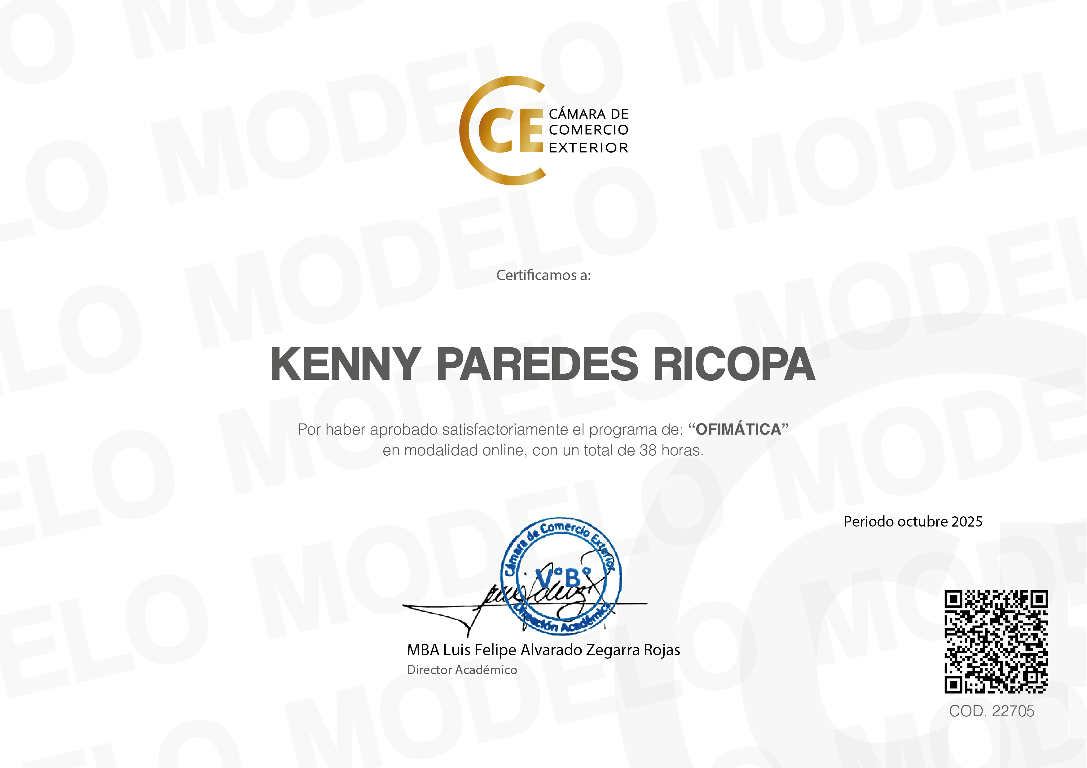 Curso Profesional de Ofimática 2025