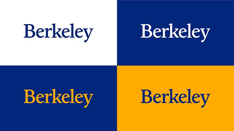 Wordmark - Your Identity Toolkit