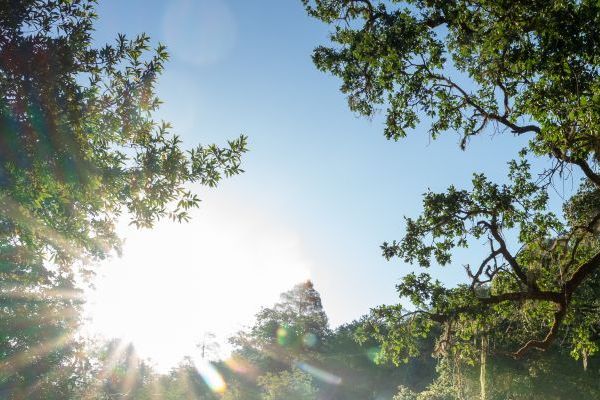 California Central Coast Summer Camp | Camp Natoma