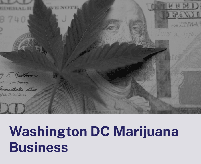 How to Open a Dispensary in Washington DC in 2025 ...