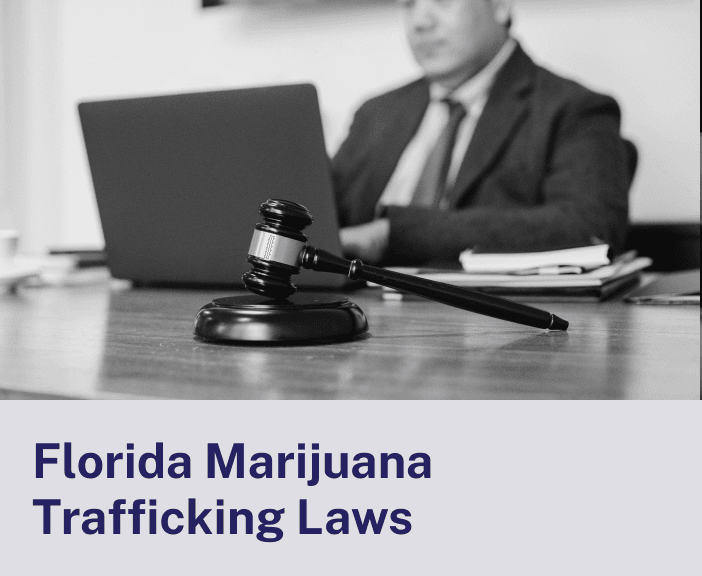 Florida Marijuana Trafficking Laws | FloridaStateCannabis.org