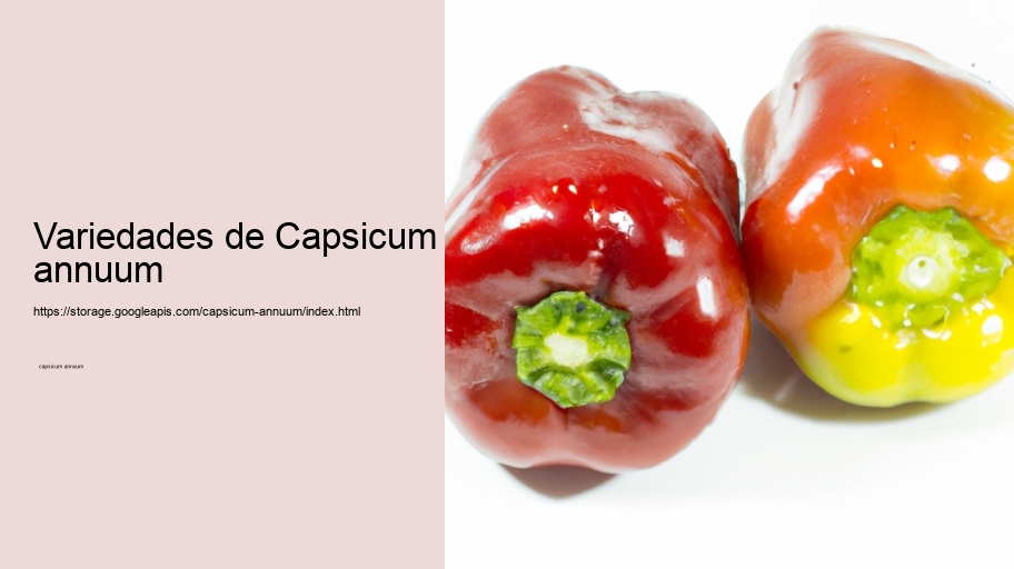 Variedades de Capsicum annuum