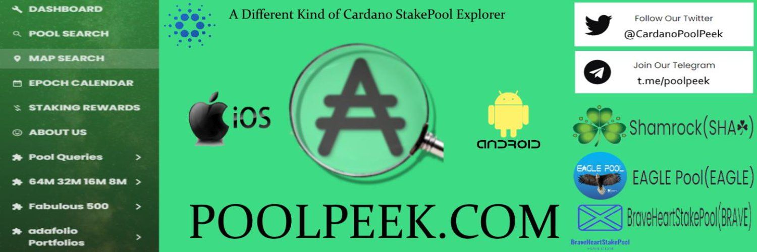 PoolPeek · Cardano Feed