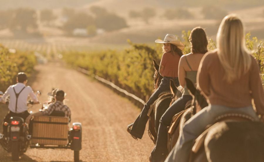 Visit | CASS Winery | Paso Robles Winery & Vineyard