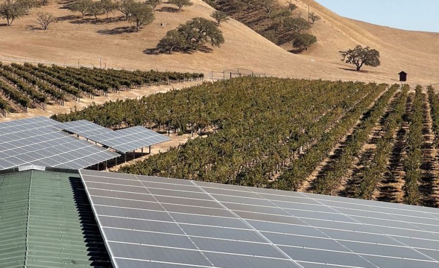 CASS Winery Green Initiatives | CASS Winery | Paso Robles Winery & Vineyard