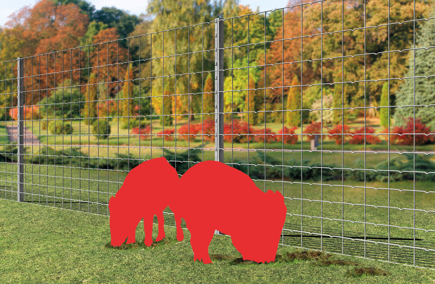 D-FENCE: il sistema di recinzione per la protezione da animali selvatici