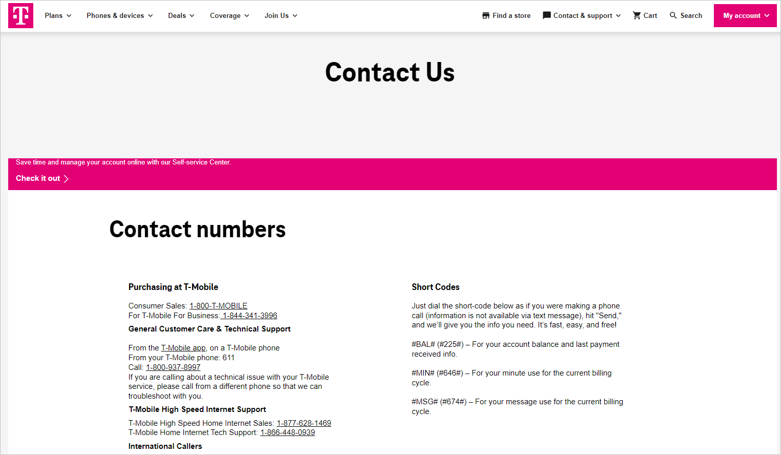 How to Create a Contact Us Page: Examples and Best Practices
