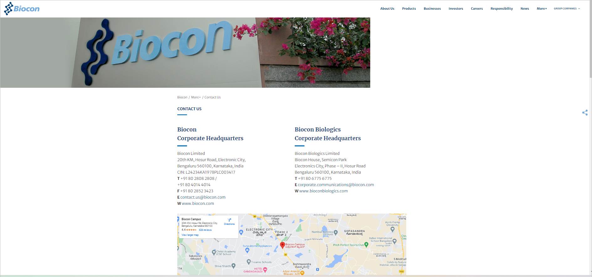 How to Create a Contact Us Page: Examples and Best Practices